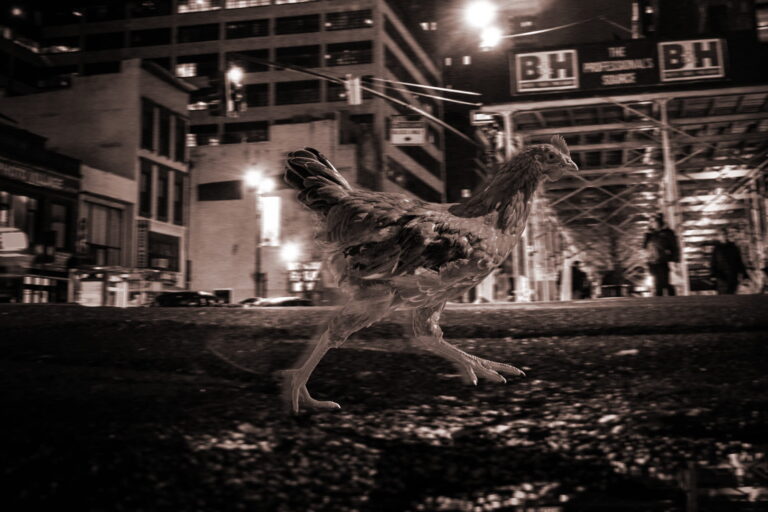 Meat Stories - Meatstreet